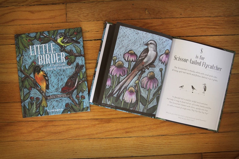 CHILDREN'S BOOK- Little Birder: A Field Guide to Birds of the Alphabet ...