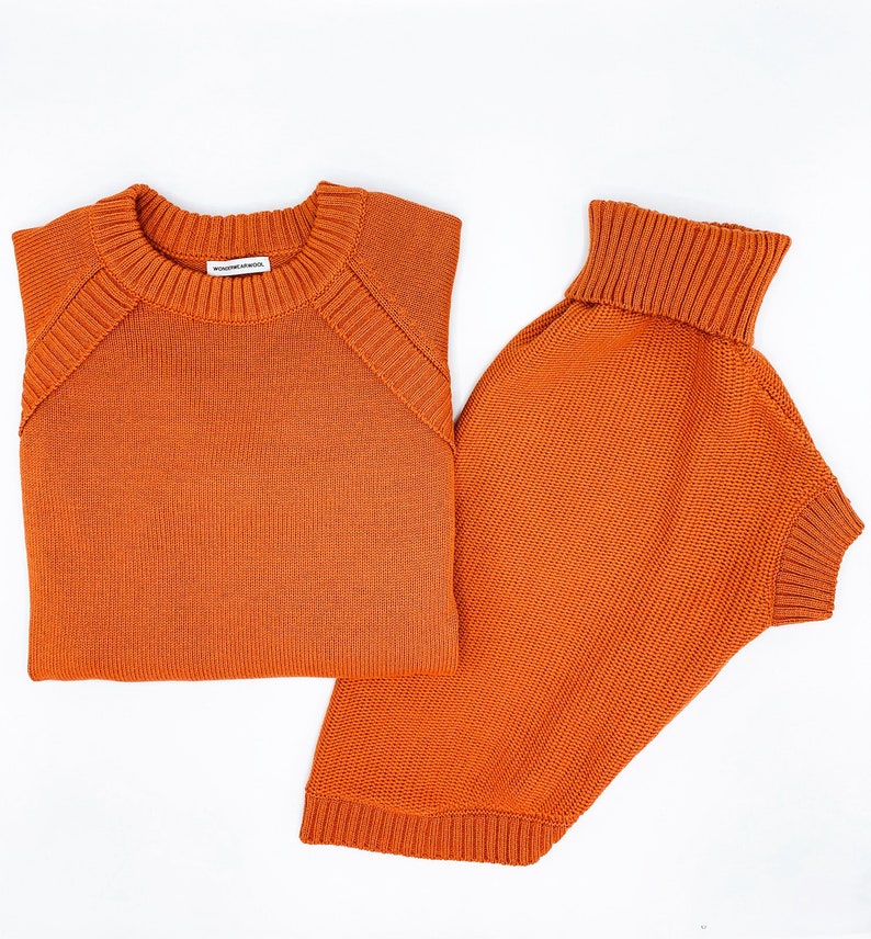 Merino Twinning Jumpers for Dog and Human//crew Neck Unisex | Etsy