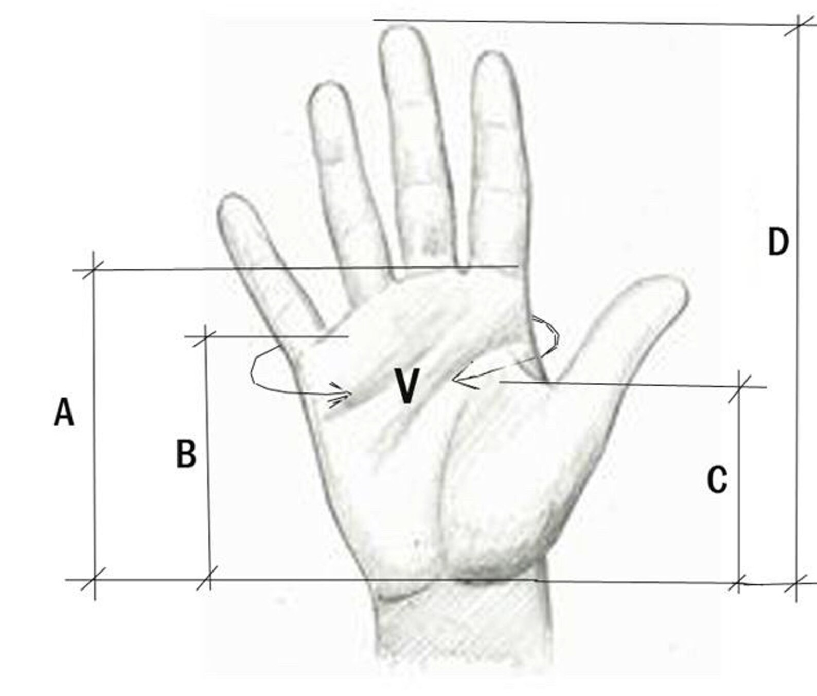 Pure Cashmere Women Gauntlet Gloves//Knitted Cashmere | Etsy