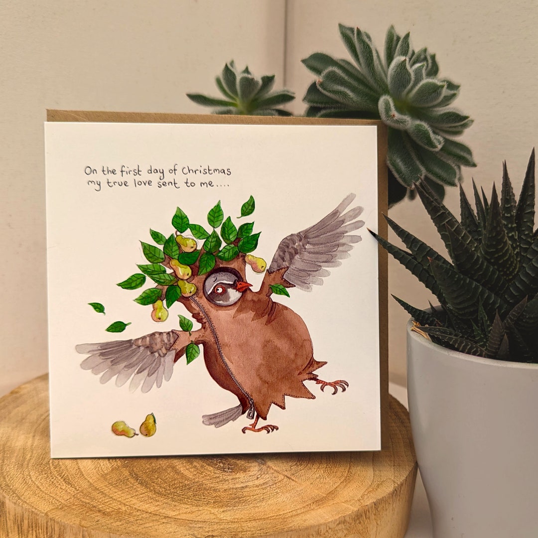 Partridge in a Pear Tree Christmas Card Funny Christmas Card - Etsy UK