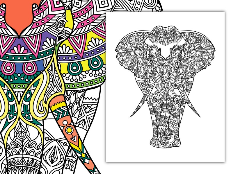 Printable Elephant Mandala Coloring Page Adult or Child Color Fill in ...