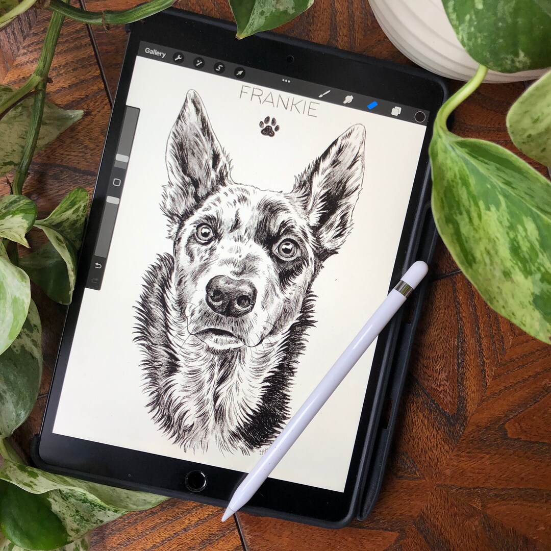 Digital Pet Portrait Sketch | SINGLE PET BUST |dog Cat Digital Download ...