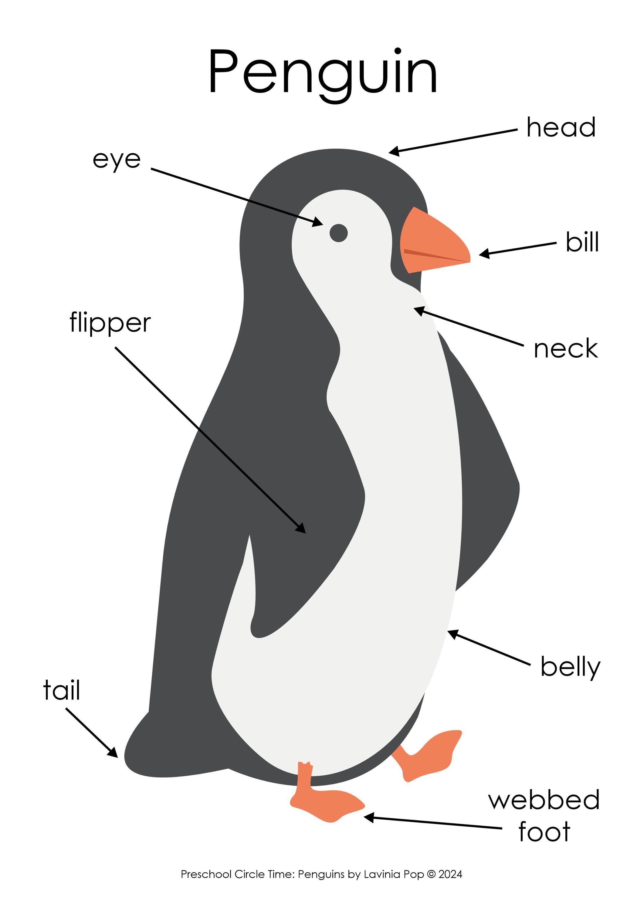 Penguins Preschool Theme Curriculum Printables | Preschool Circle Time ...
