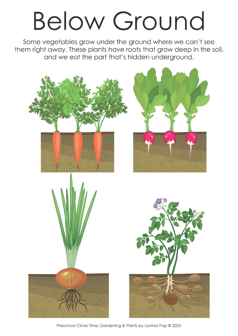 Gardening and Plants Preschool Theme Curriculum Printables | Preschool ...