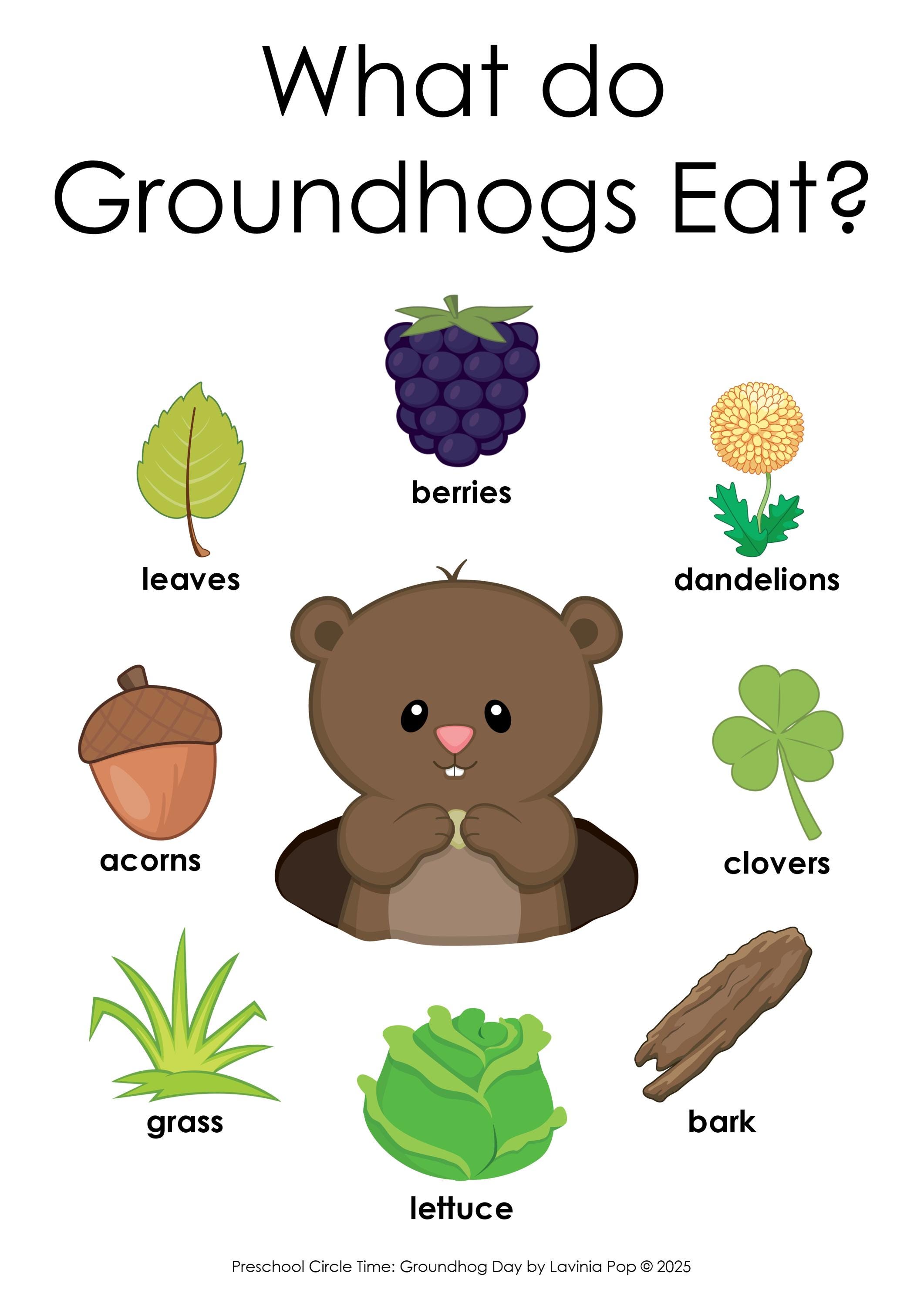 Groundhog Day Preschool Theme Curriculum Printables | Preschool Circle ...