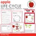 Apple Life Cycle Printable Posters Books Worksheets - Etsy