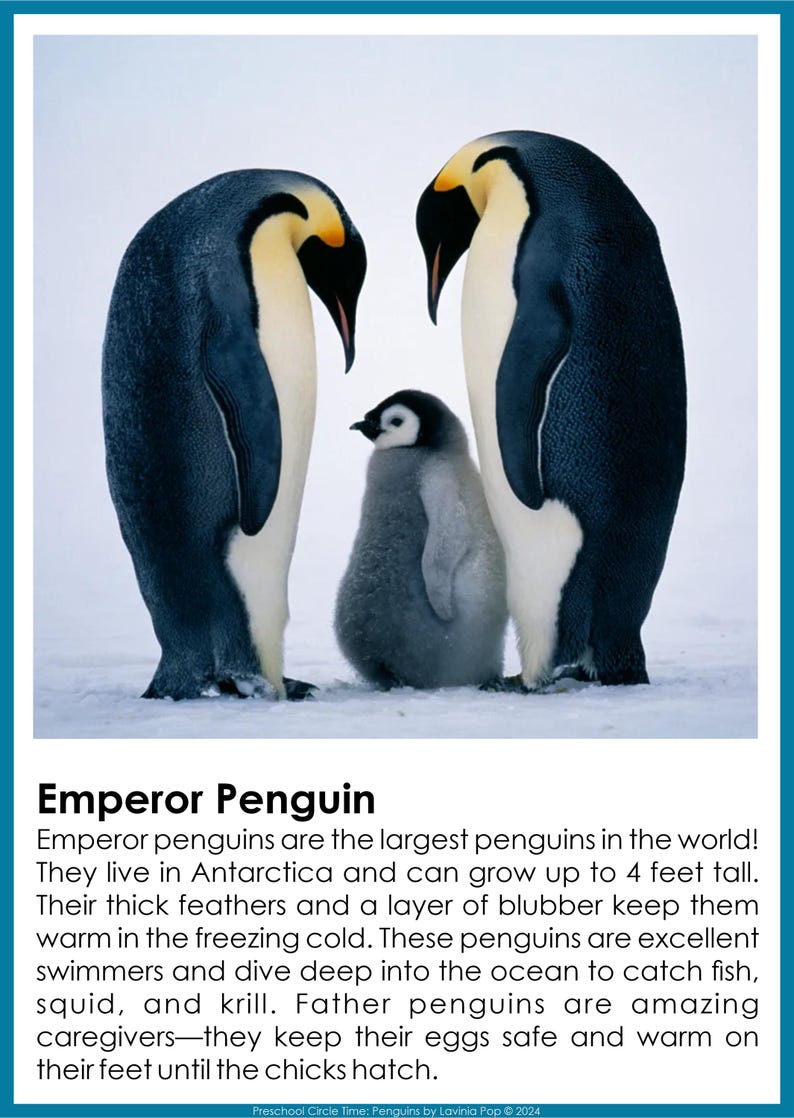 Penguins Preschool Theme Curriculum Printables | Preschool Circle Time ...