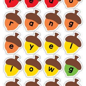 Squirrel and Acorn Color Words Printable Activity for Preschool and ...