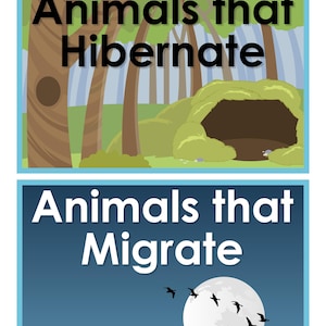 Hibernation and Migration Preschool Theme Curriculum Printables ...