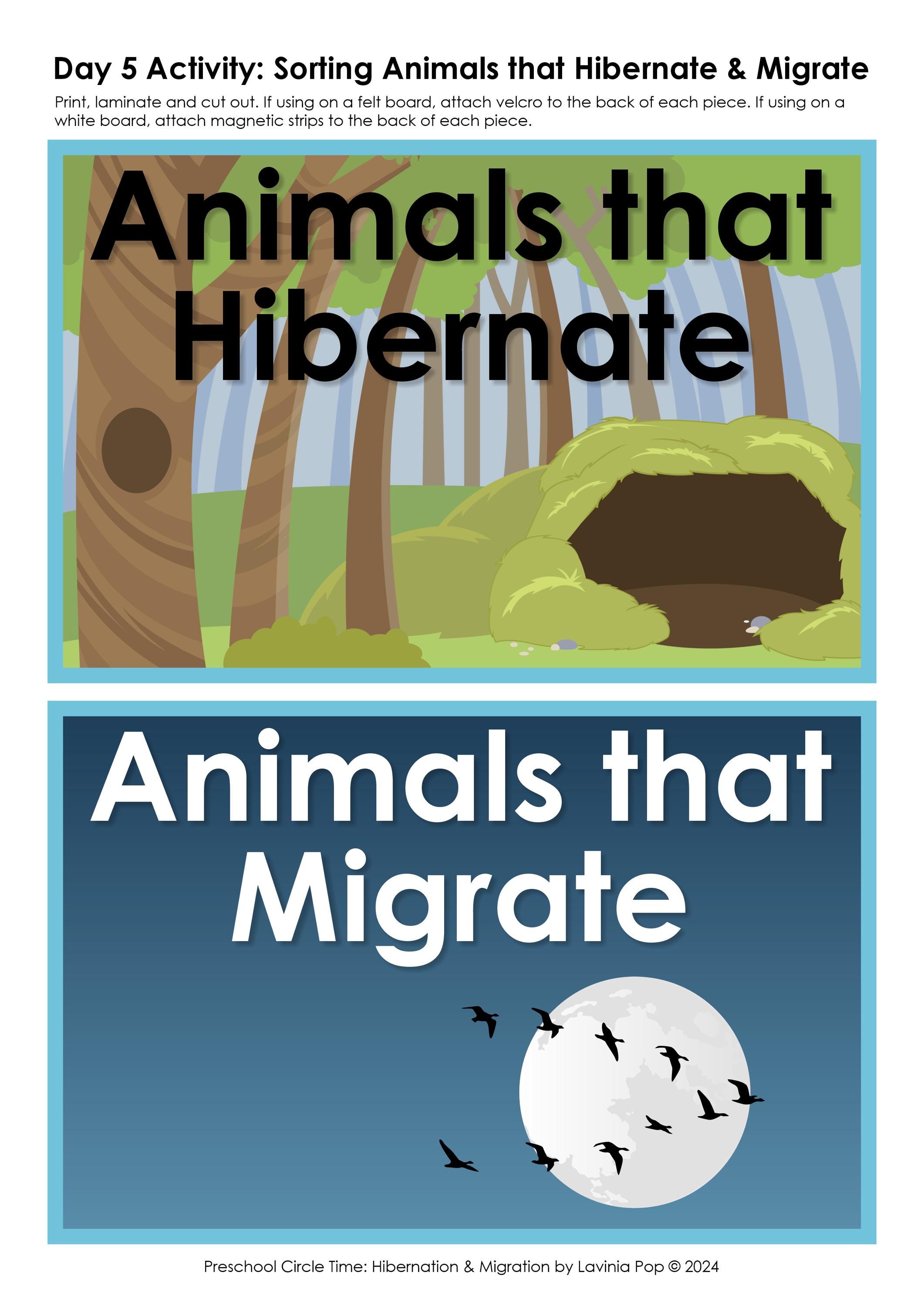 Hibernation and Migration Preschool Theme Curriculum Printables ...
