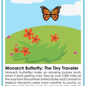 Hibernation and Migration Preschool Theme Curriculum Printables ...