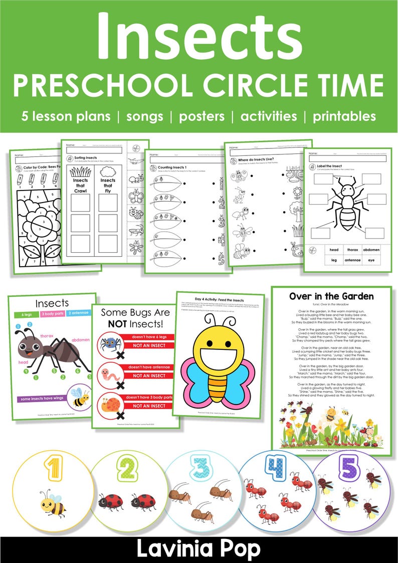 Insects Preschool Theme Curriculum Printables | Preschool Circle Time ...