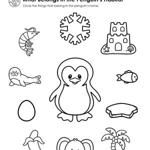 Penguins Preschool Theme Curriculum Printables | Preschool Circle Time ...