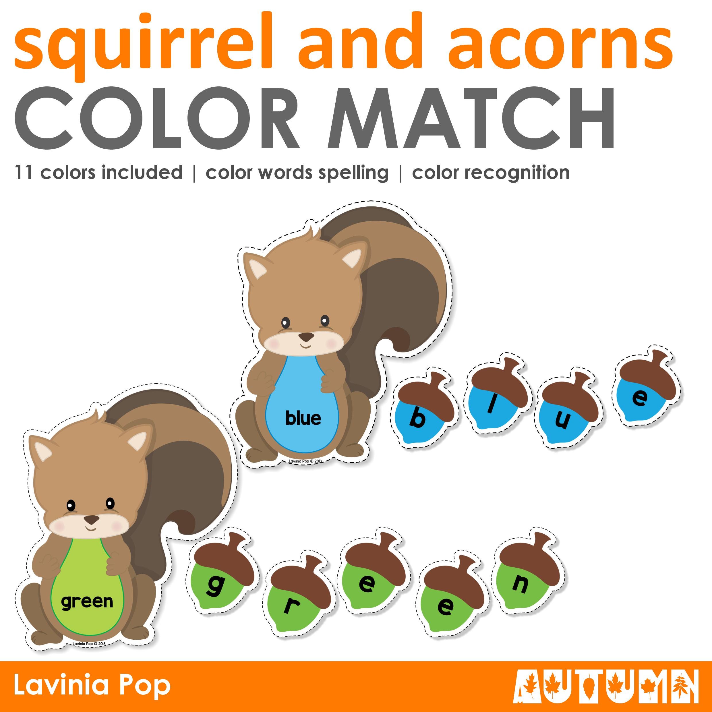 Squirrel and Acorn Color Words Printable Activity for Preschool and ...
