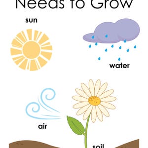 Bees and Flowers Preschool Theme Curriculum Printables | Preschool ...