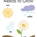 Bees and Flowers Preschool Theme Curriculum Printables | Preschool ...