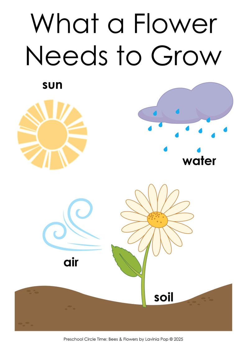 Bees and Flowers Preschool Theme Curriculum Printables | Preschool ...