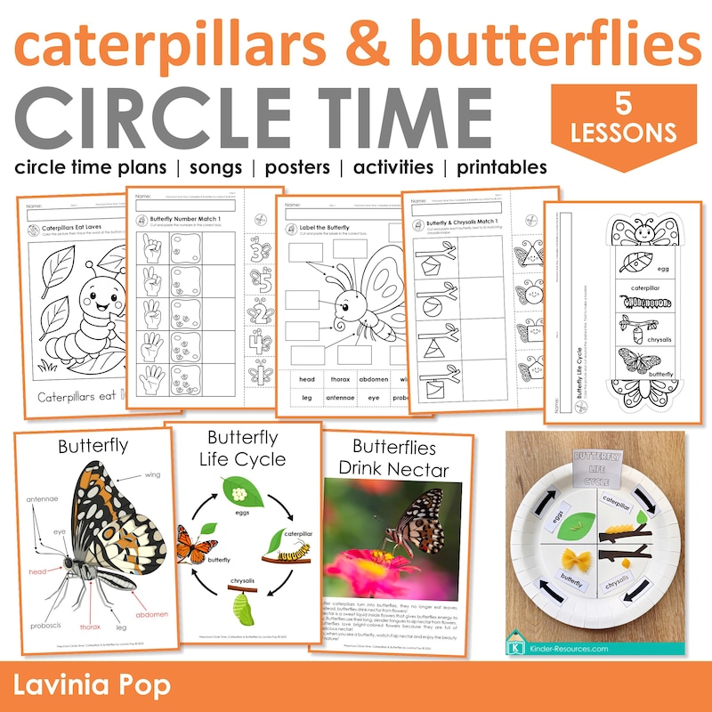 This is Not a Circle Activity Worksheet - Etsy