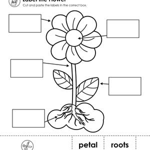 Bees and Flowers Preschool Theme Curriculum Printables | Preschool ...