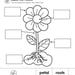 Bees and Flowers Preschool Theme Curriculum Printables | Preschool ...