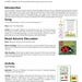 Insects Preschool Theme Curriculum Printables | Preschool Circle Time ...