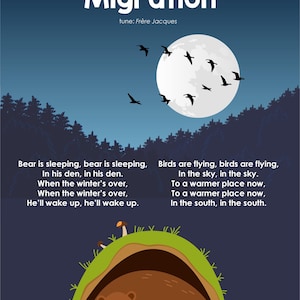 Hibernation and Migration Preschool Theme Curriculum Printables ...