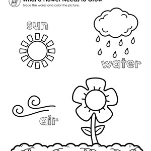 Bees and Flowers Preschool Theme Curriculum Printables | Preschool ...