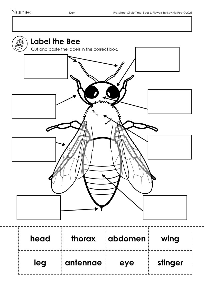 Bees and Flowers Preschool Theme Curriculum Printables | Preschool ...