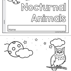Nocturnal Animals Preschool Curriculum Printables | Nocturnal Animals ...