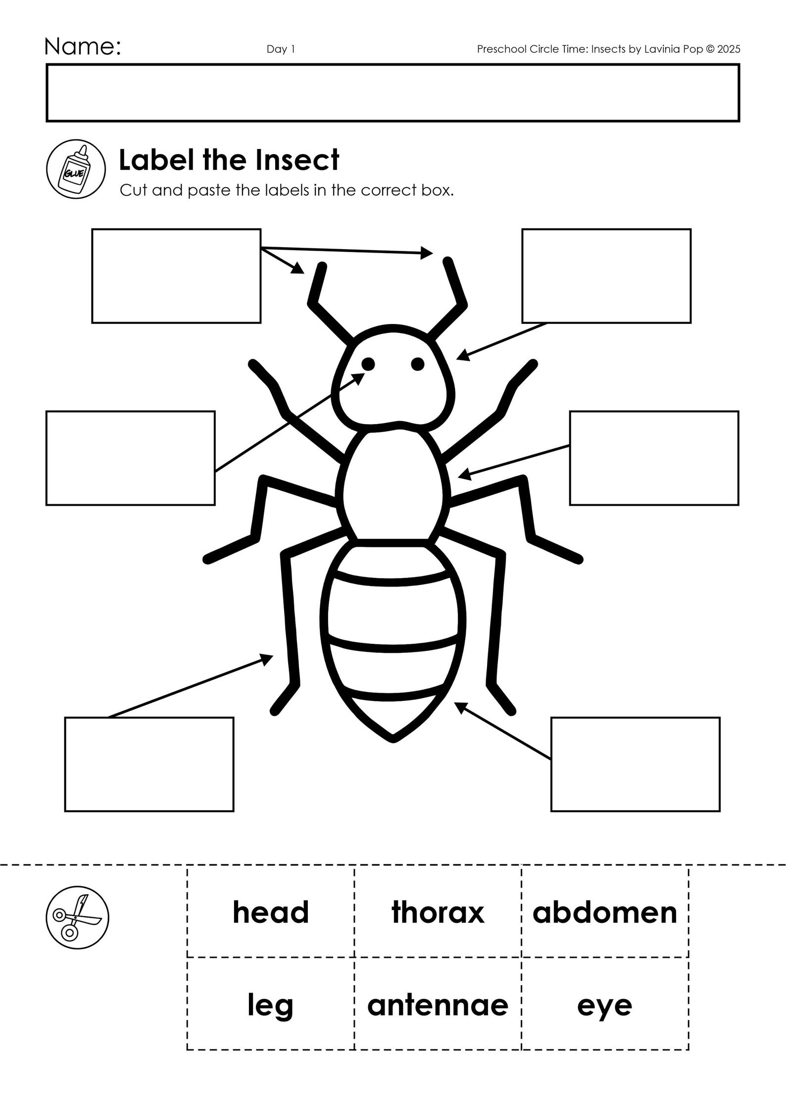 Insects Preschool Theme Curriculum Printables | Preschool Circle Time ...