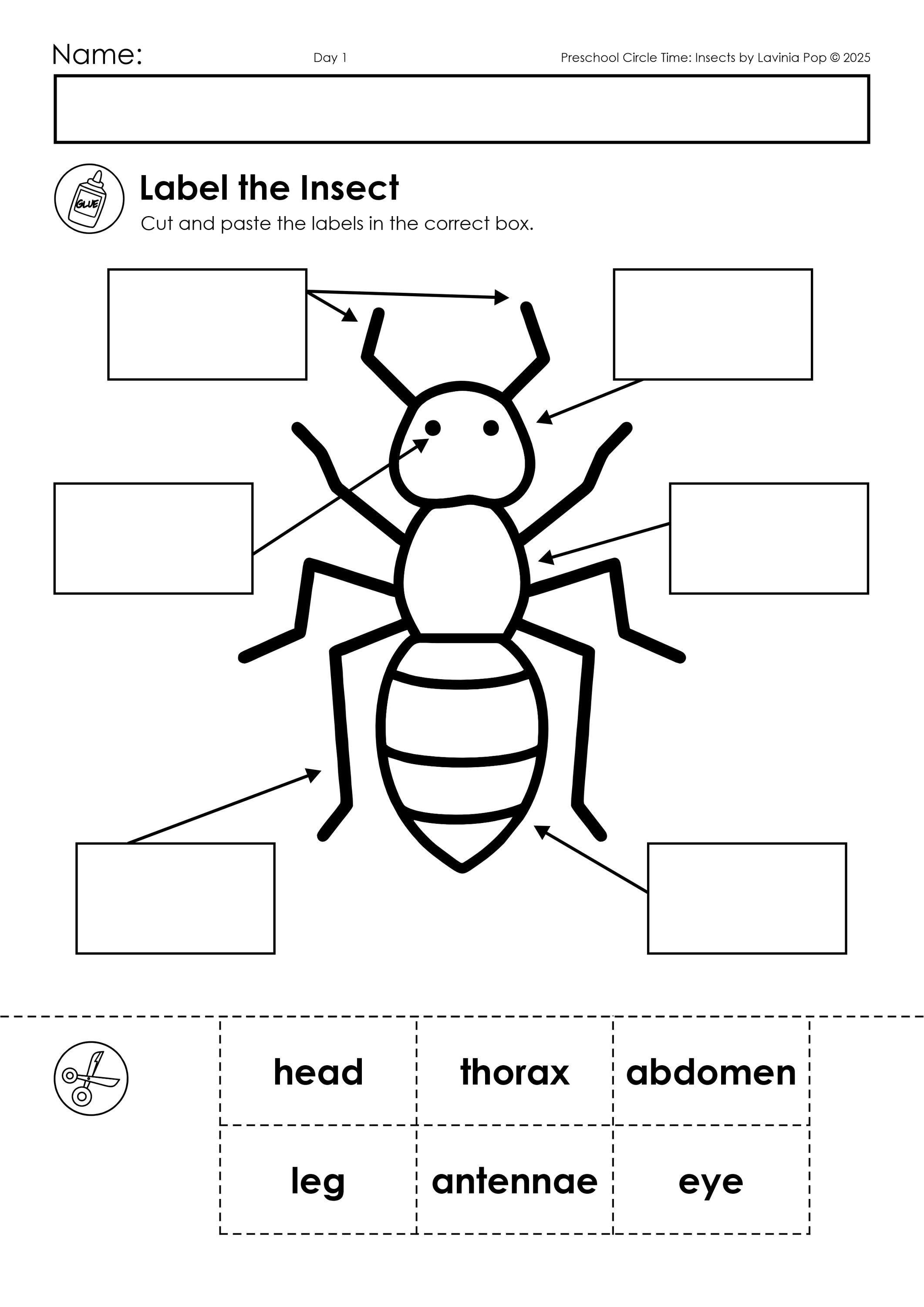 Insects Preschool Theme Curriculum Printables | Preschool Circle Time ...