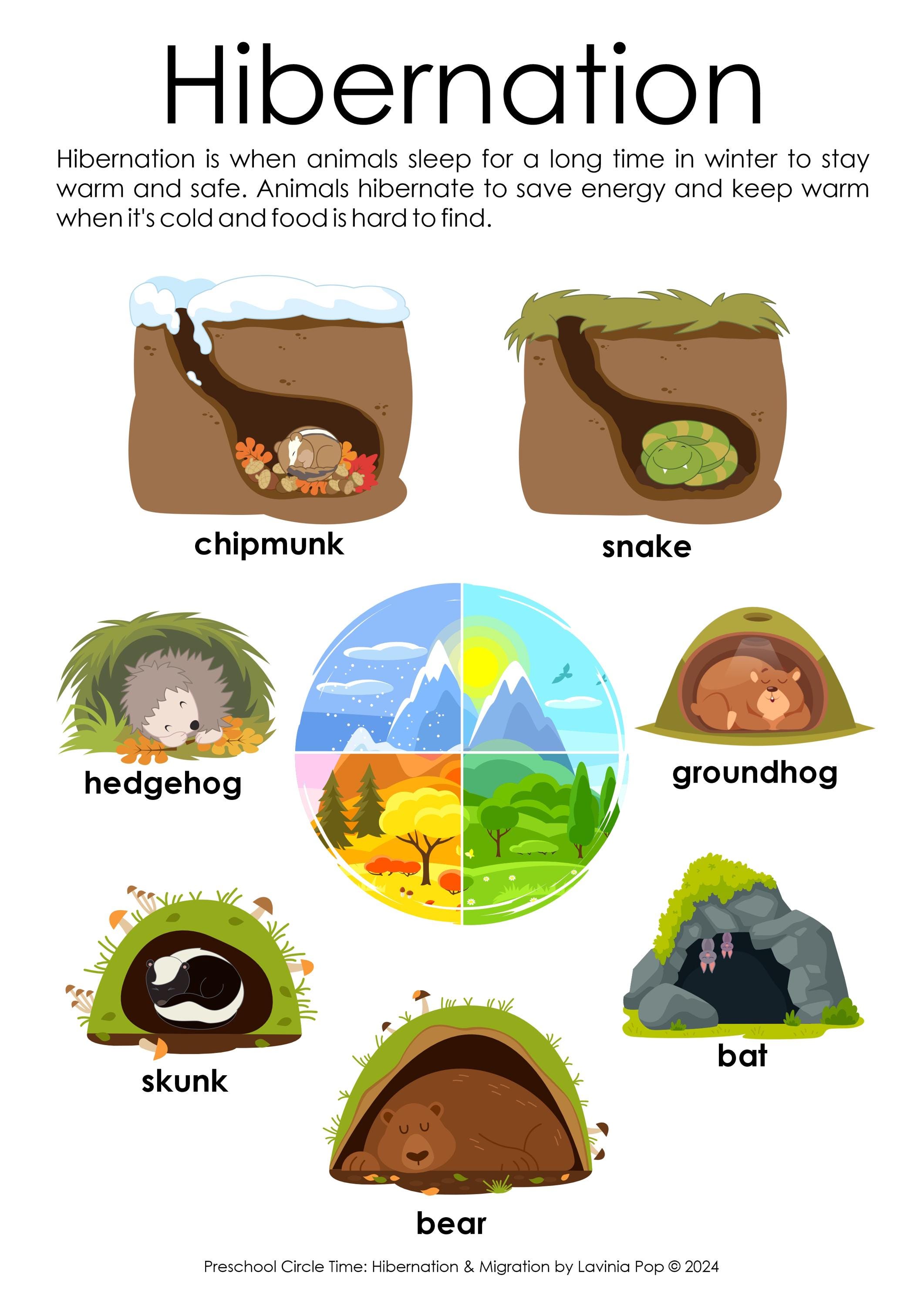 Hibernation and Migration Preschool Theme Curriculum Printables ...