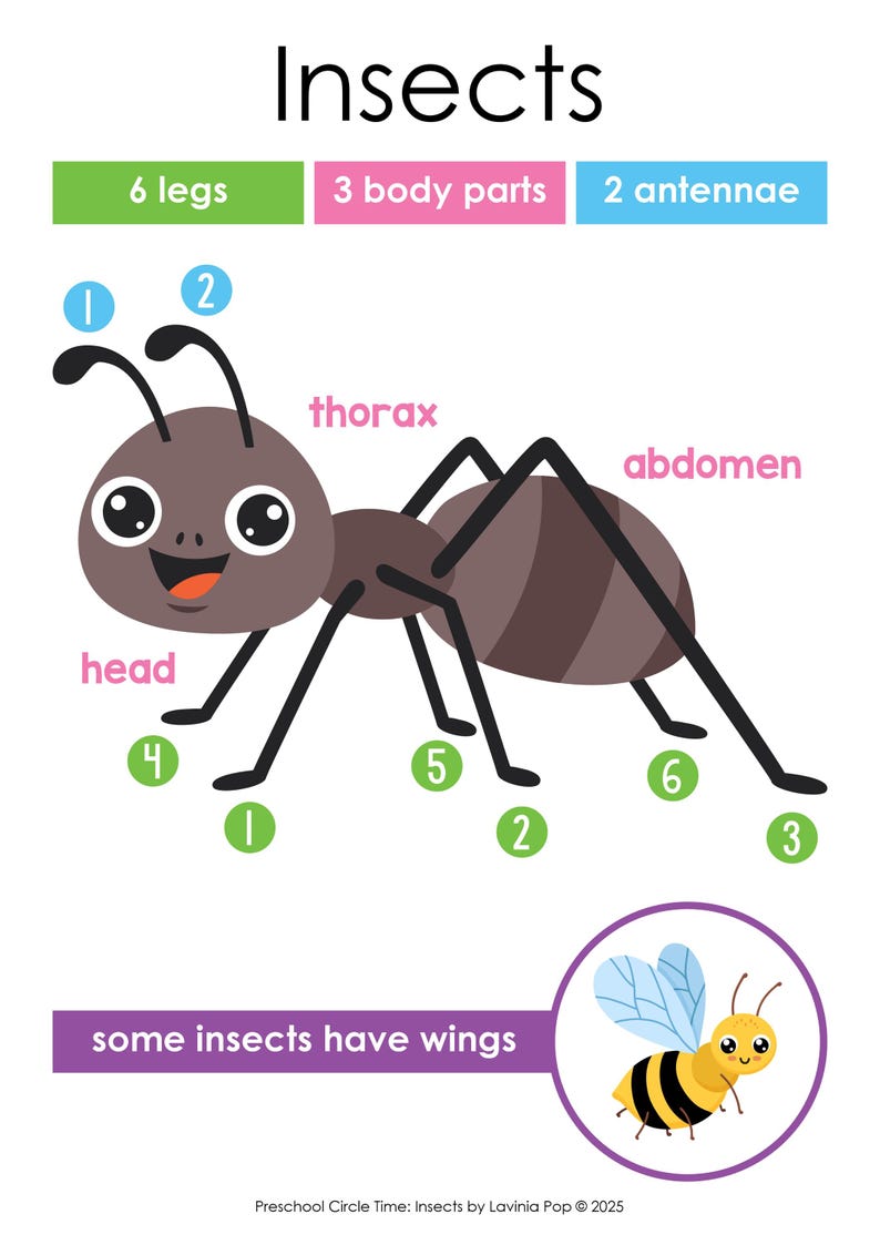 Insects Preschool Theme Curriculum Printables | Preschool Circle Time ...