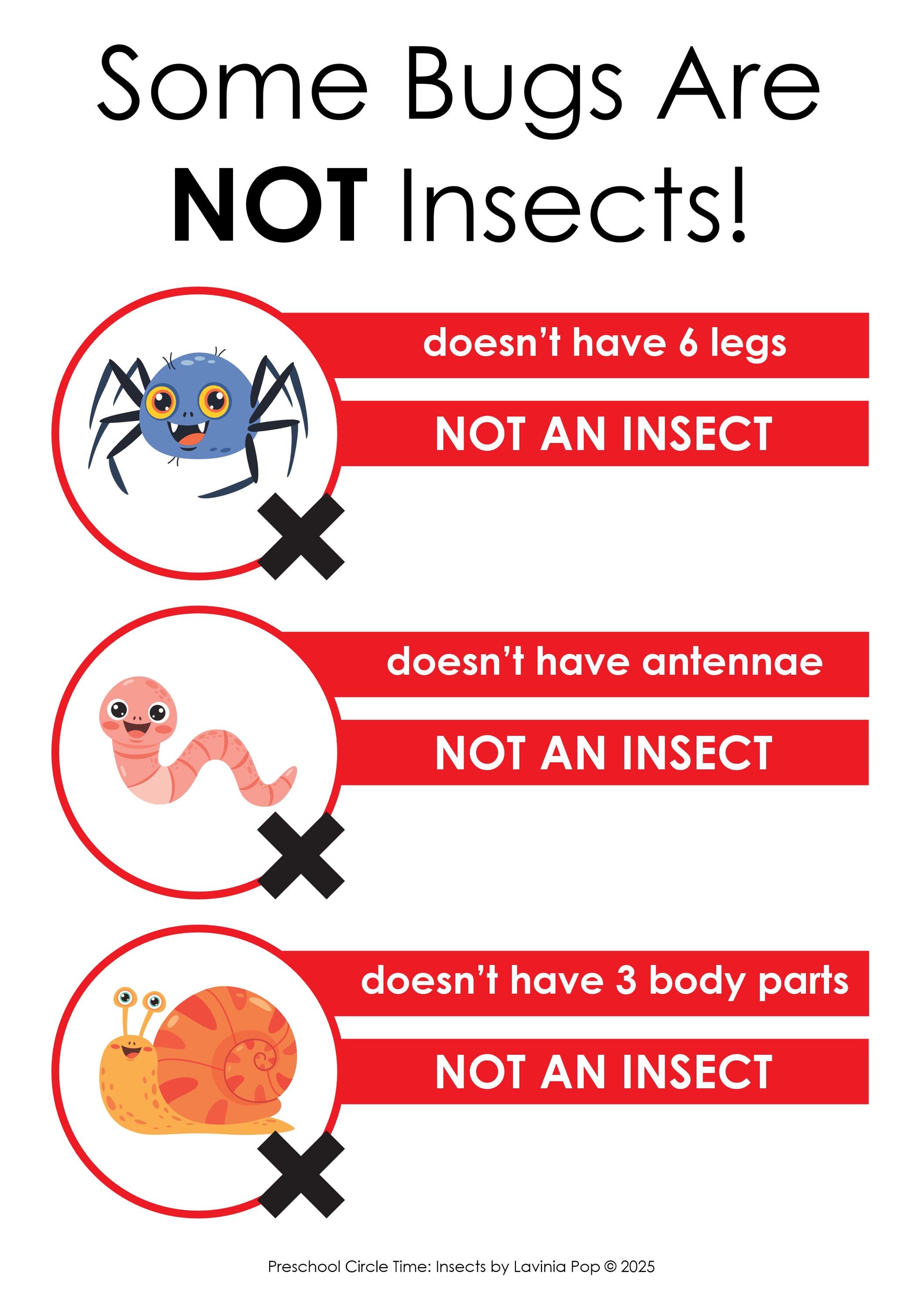 Insects Preschool Theme Curriculum Printables | Preschool Circle Time ...