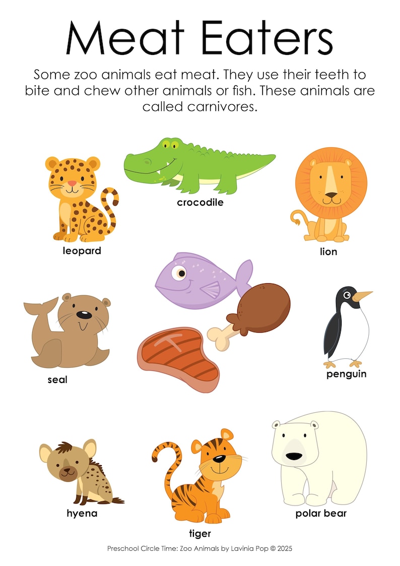 Zoo Animals Preschool Circle Time Plan | Lesson Plans, Activities ...