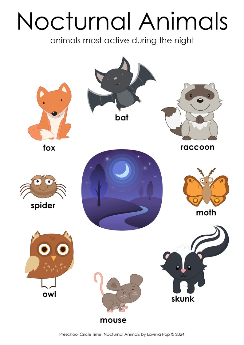 Nocturnal Animals Preschool Curriculum Printables | Nocturnal Animals ...