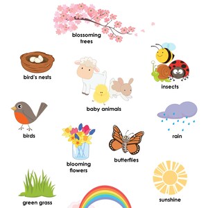 Spring Weather Preschool Theme Curriculum Printables | Preschool Circle ...