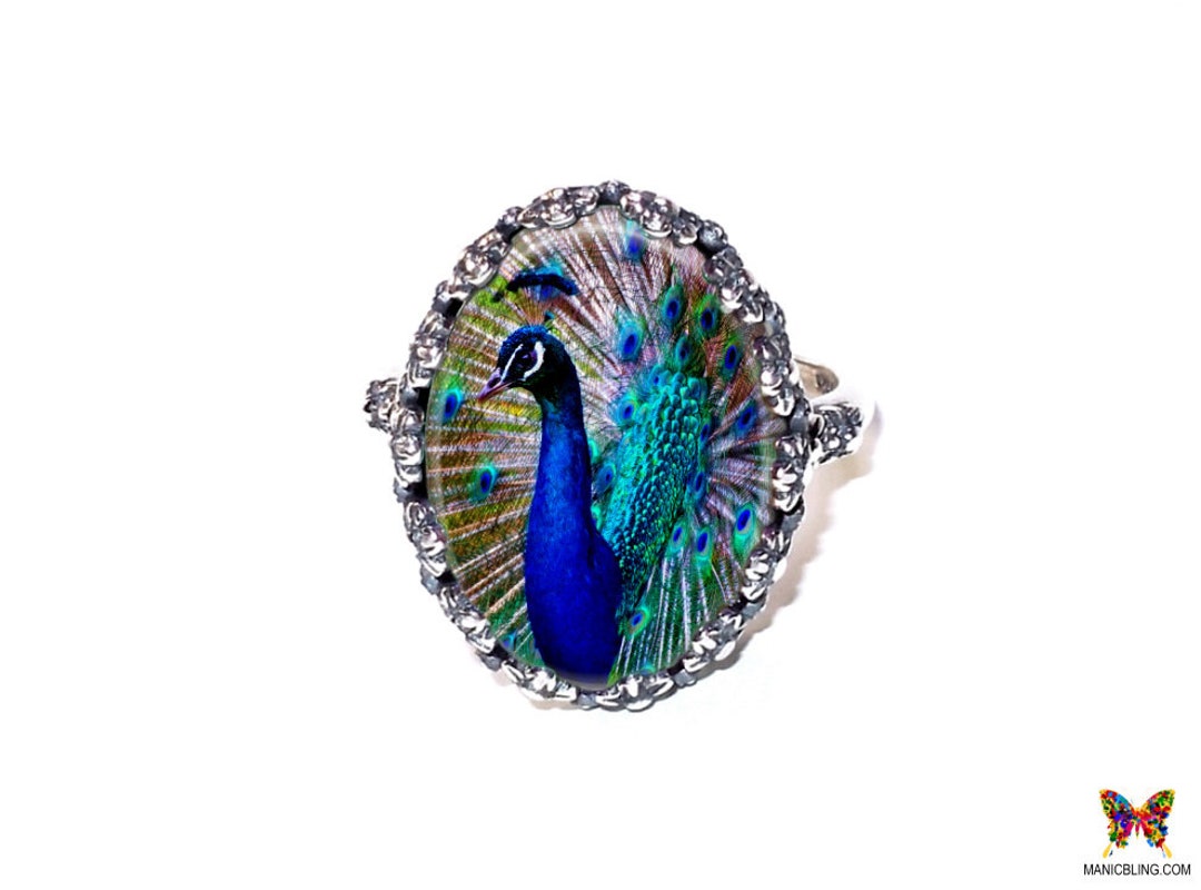 Peacock Ring | Solid 925 Sterling Silver Adjustable 13mm X 18mm Oval Ring | Glass Photo Ring ...