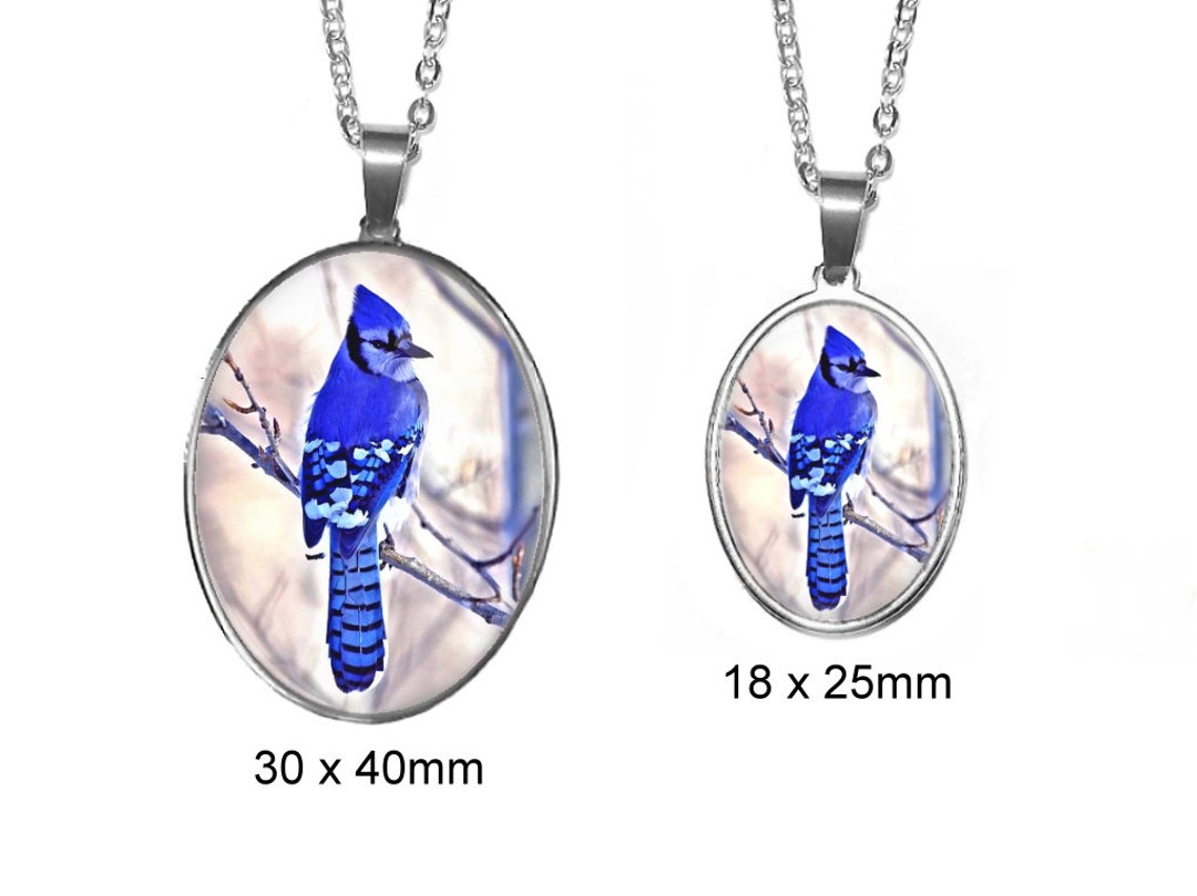 Blue Jay Pendant Blue Bird Necklace 30 X 40mm Stainless Steel Glass ...