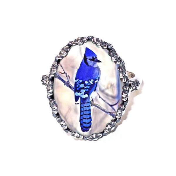 Blue Jay Art - Etsy