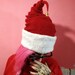 Santa Hat, Fur Hat, Shiny Santa Hat, Santa Hat Santa Costume Christmas ...
