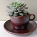 Lovely Ceramic Indoor or Outdoor Tea Cup Planter. Made From - Etsy