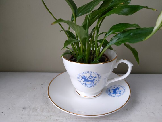 Indoor Planters Lovely ceramic indoor or outdoor tea cup planter tea ...