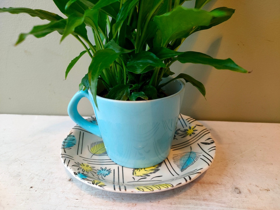 Lovely Ceramic Indoor Tea Cup Planter. Made From Retro Broadhurst Tyne ...