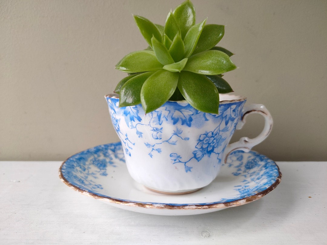Lovely Teacup Planters. Made From Bridgwoods Bone China "kew" Blue and ...