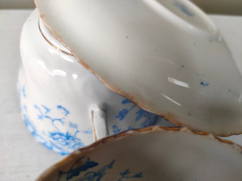Lovely Teacup Planters. Made From Bridgwoods Bone China "kew" Blue and ...