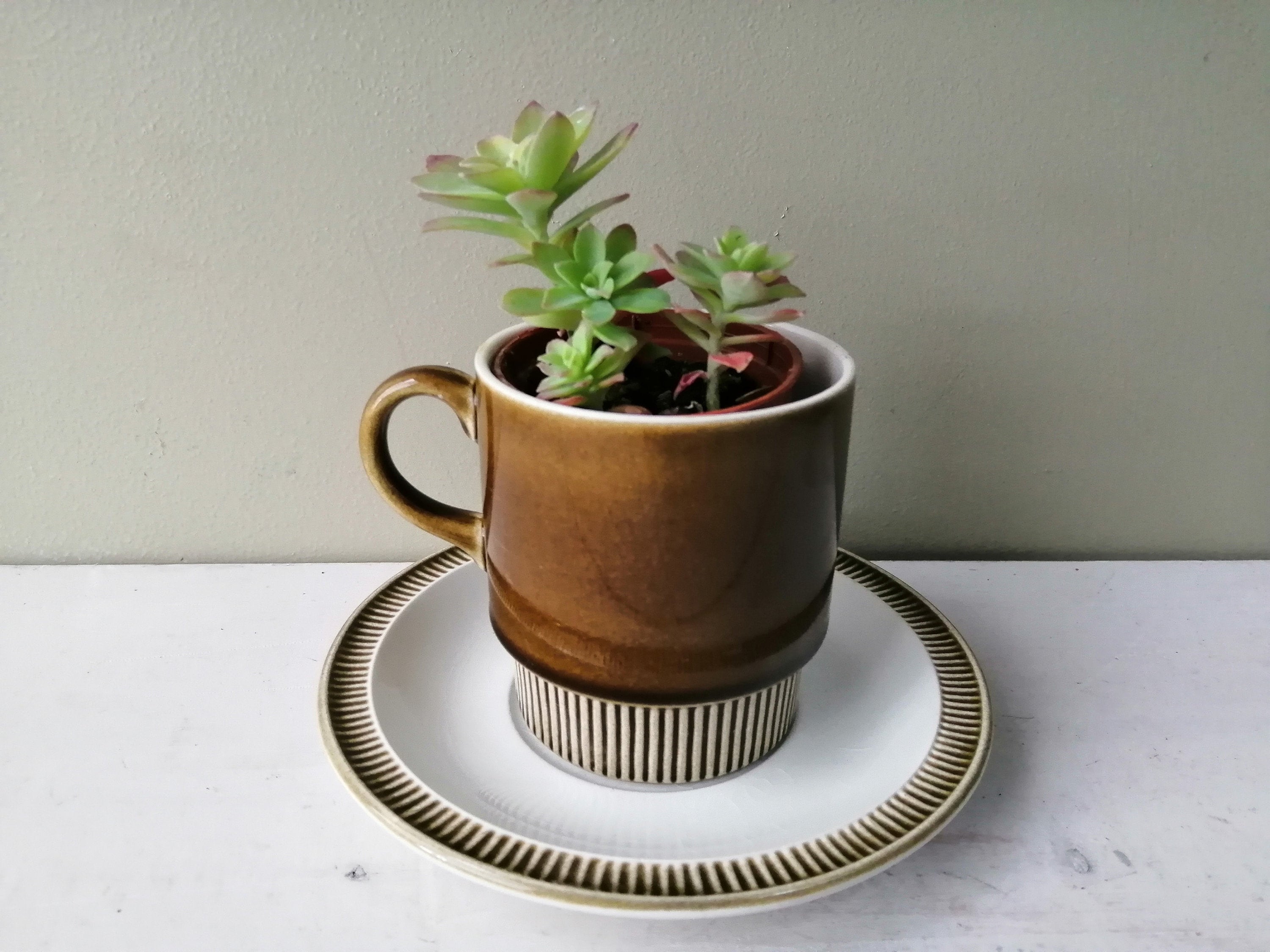 Indoor Planters Lovely ceramic indoor or outdoor tea cup planter tea ...