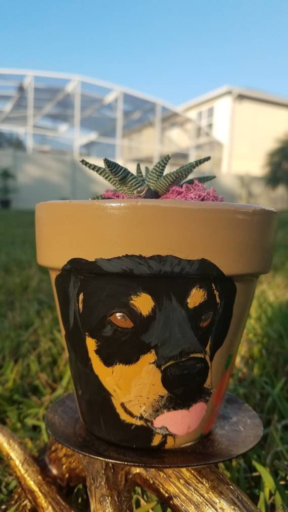 Personalized Pet Portrait Pot Planter | Etsy