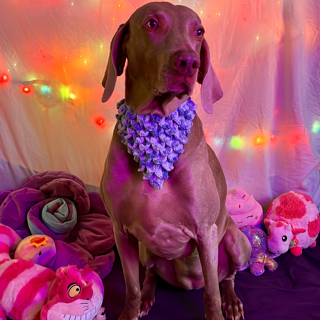 Ice Dragon Scale Bandana - Etsy