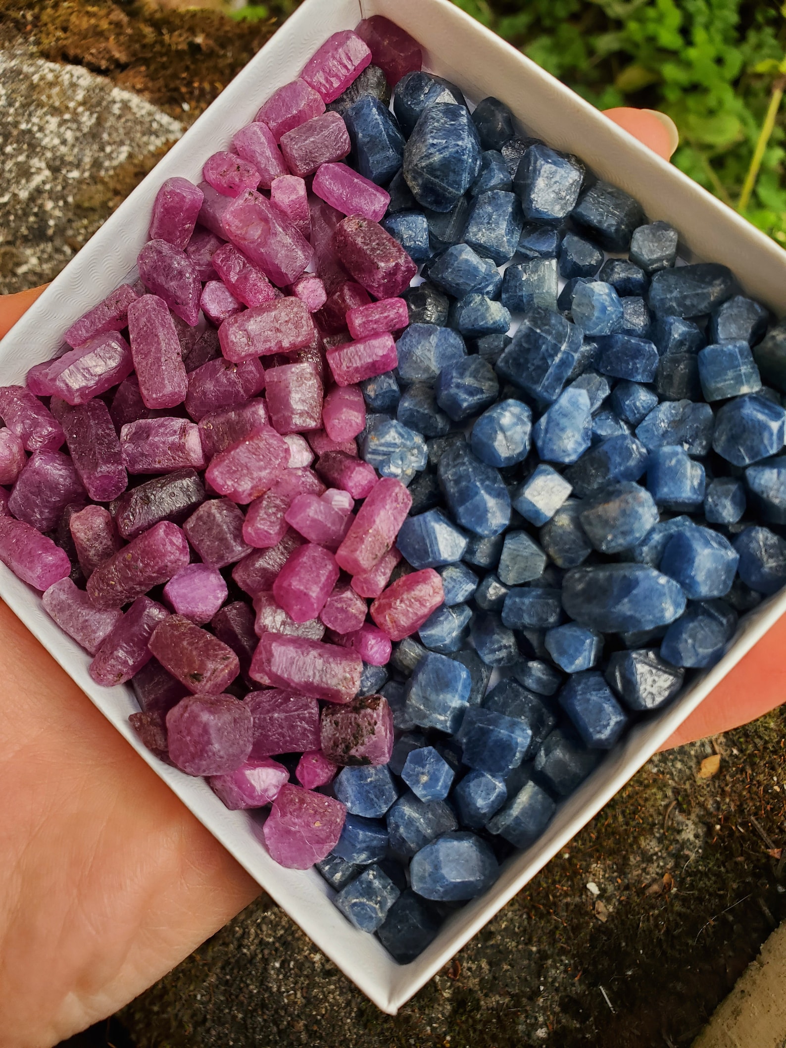Mixed Ruby & Sapphire Crystals Small Rough Natural Ruby - Etsy